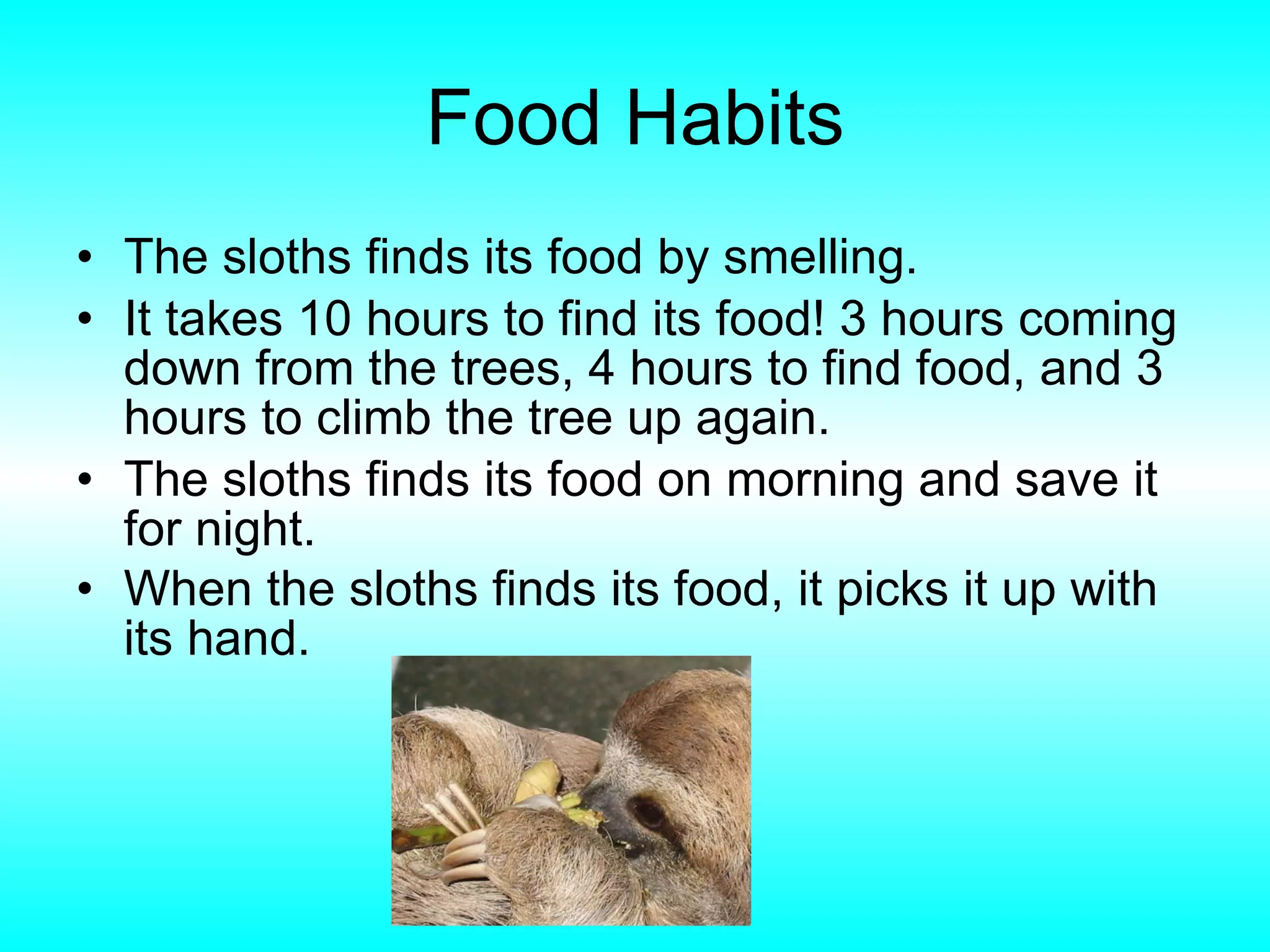 The slowest animal in the world sloths! | PPT