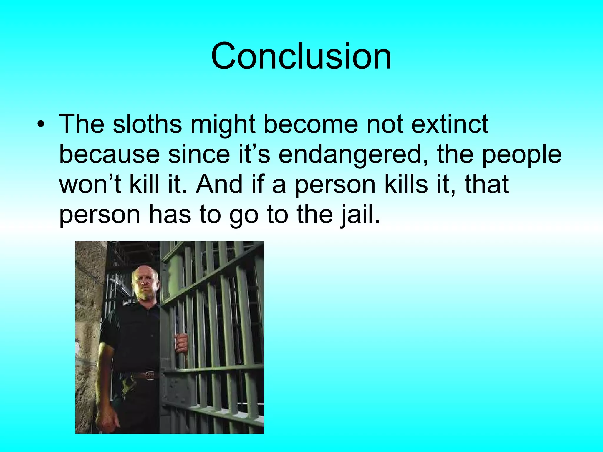 The slowest animal in the world sloths! | PPT