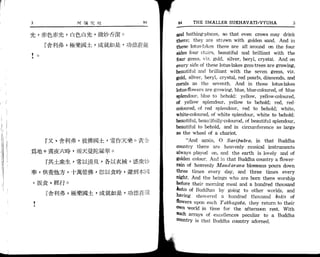 The smaller sukhavati vyuha | PDF