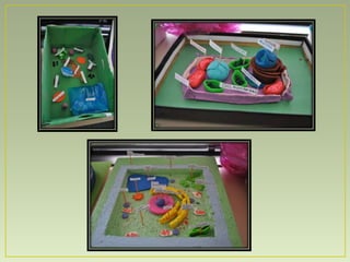 The Smallest Unit of Life! | PPTX