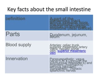 The small intestine. Gestational tract... | PPT | Digestive Disorders ...