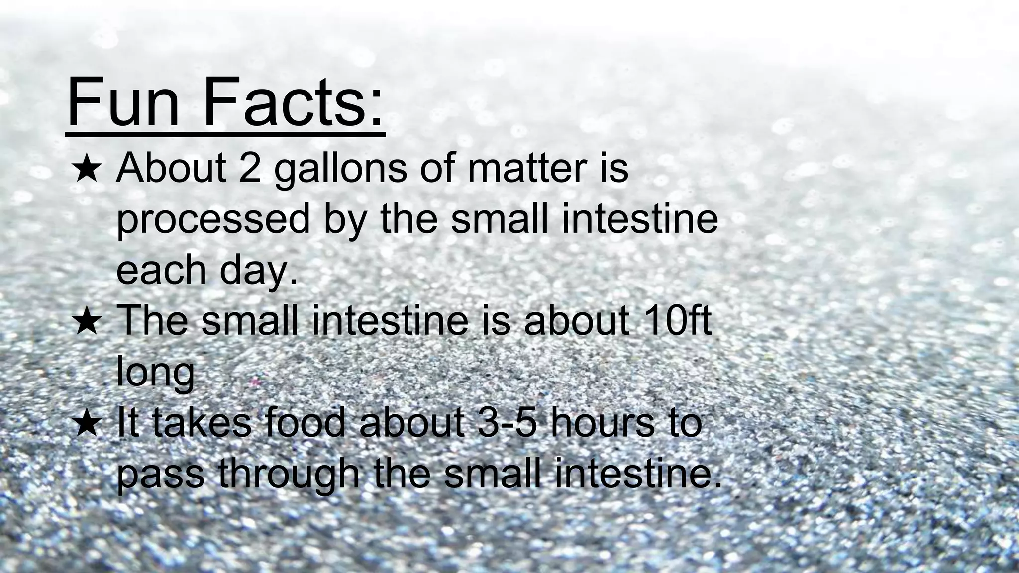 The small intestine | PPTX