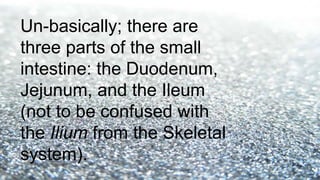 The small intestine | PPTX