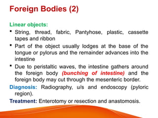 THE SMALL INTESTINE Small animal surgery.pptx