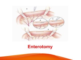 THE SMALL INTESTINE Small animal surgery.pptx