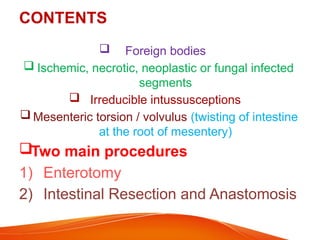THE SMALL INTESTINE Small animal surgery.pptx