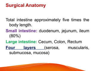 THE SMALL INTESTINE Small animal surgery.pptx