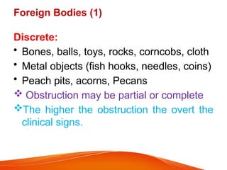 THE SMALL INTESTINE Small animal surgery.pptx