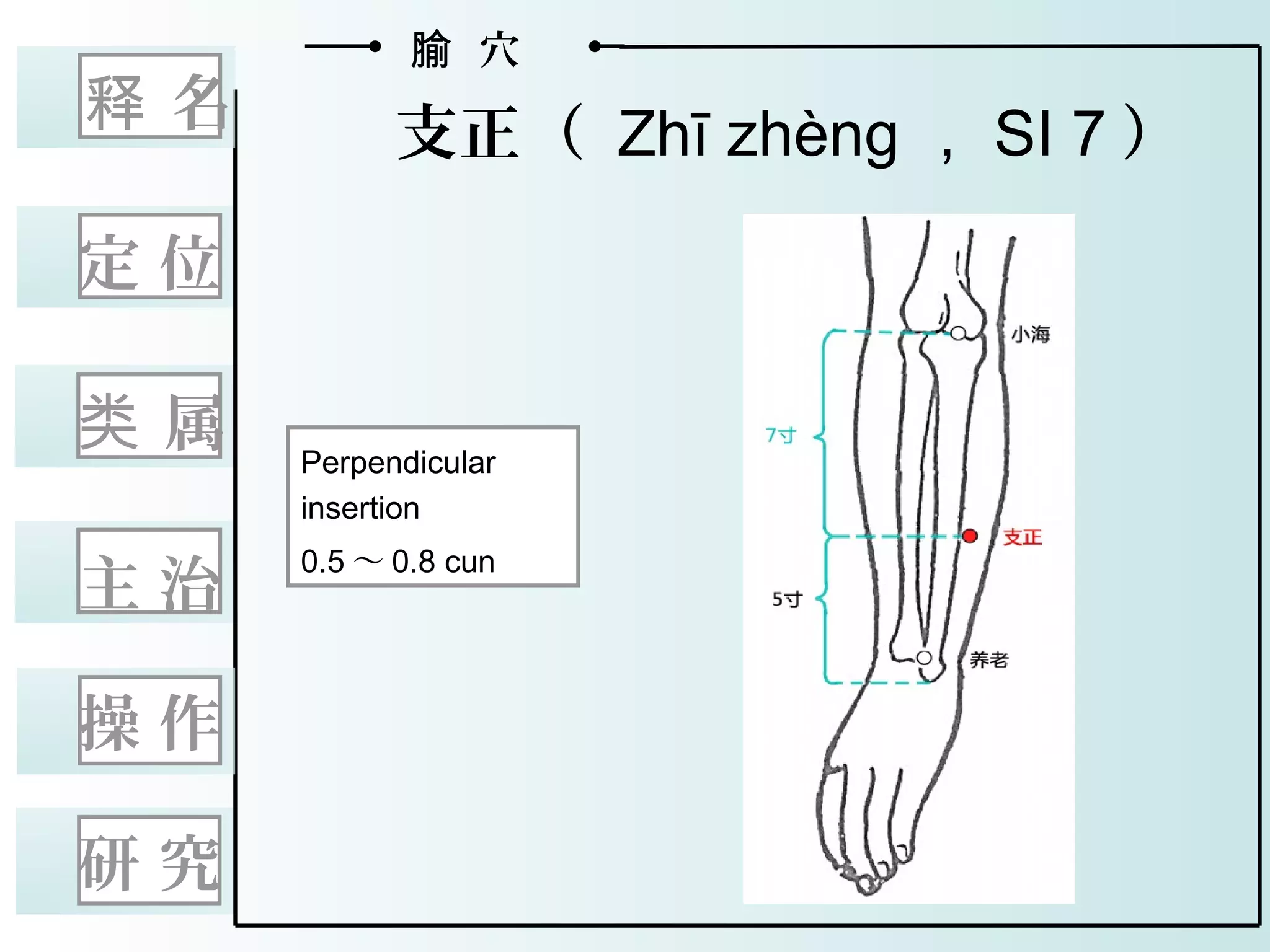 The Small Intestine Meridian | PPT