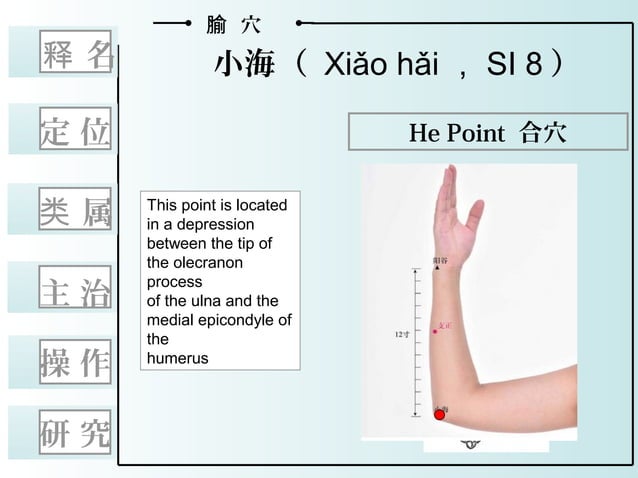 The Small Intestine Meridian | PPT | Ear, Nose and Throat Conditions ...
