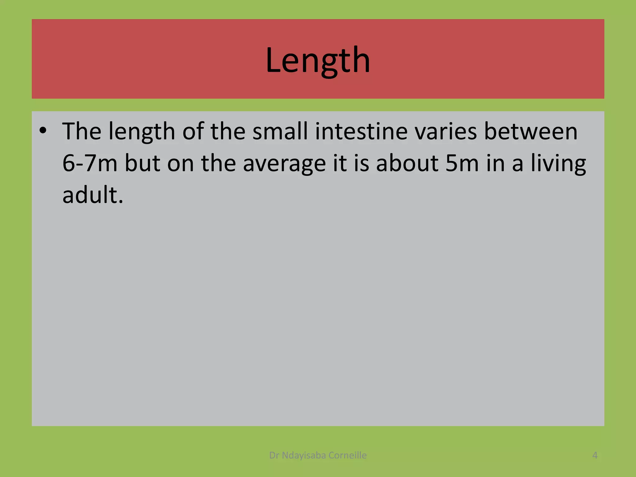 The Small & Large Intestine.pptx