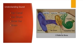 The Smart Brain | PPTX | Brain and Nervous System Disorders | Diseases ...