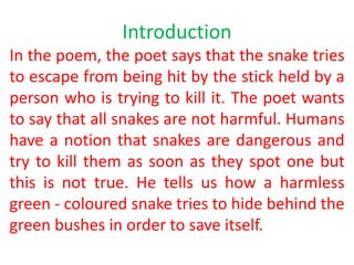 THE SNAKE TRYING.pptx