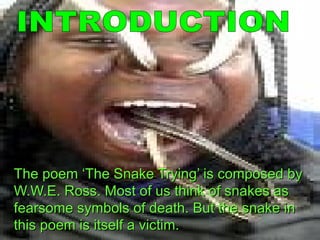 The snake trying 8 | PPT