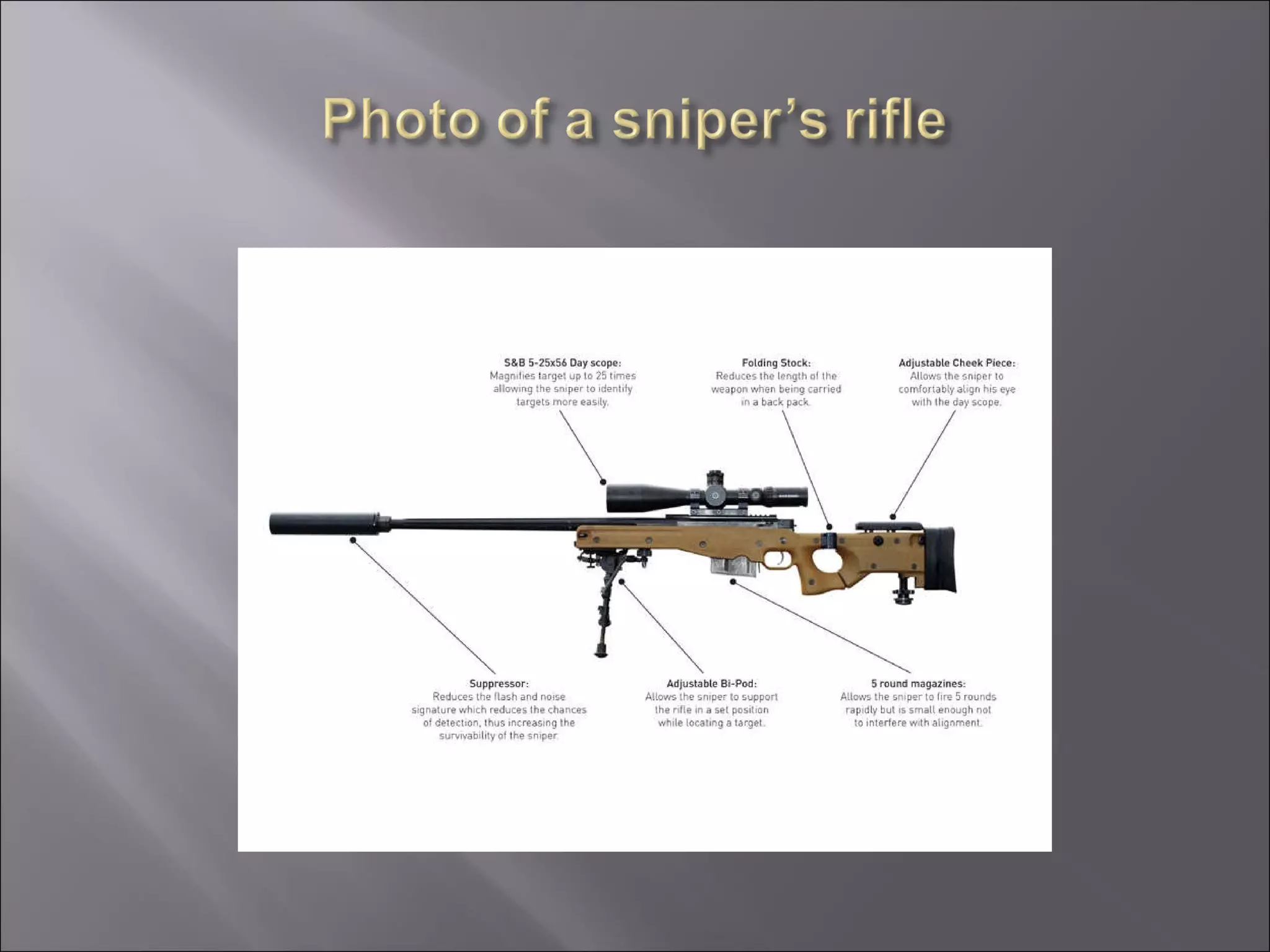 The Sniper | PPT