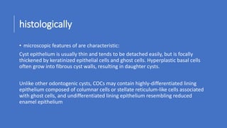 The so called Calcifying Odontogenic Cyst (Doctor Faris Alabeedi MSc ...