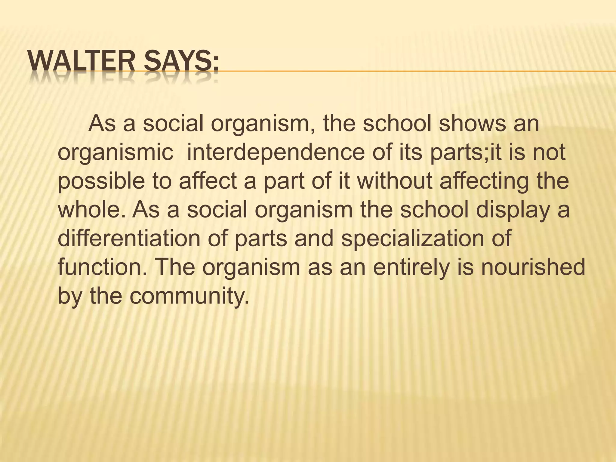 The social subsystem inside the schoolsystem | PPTX