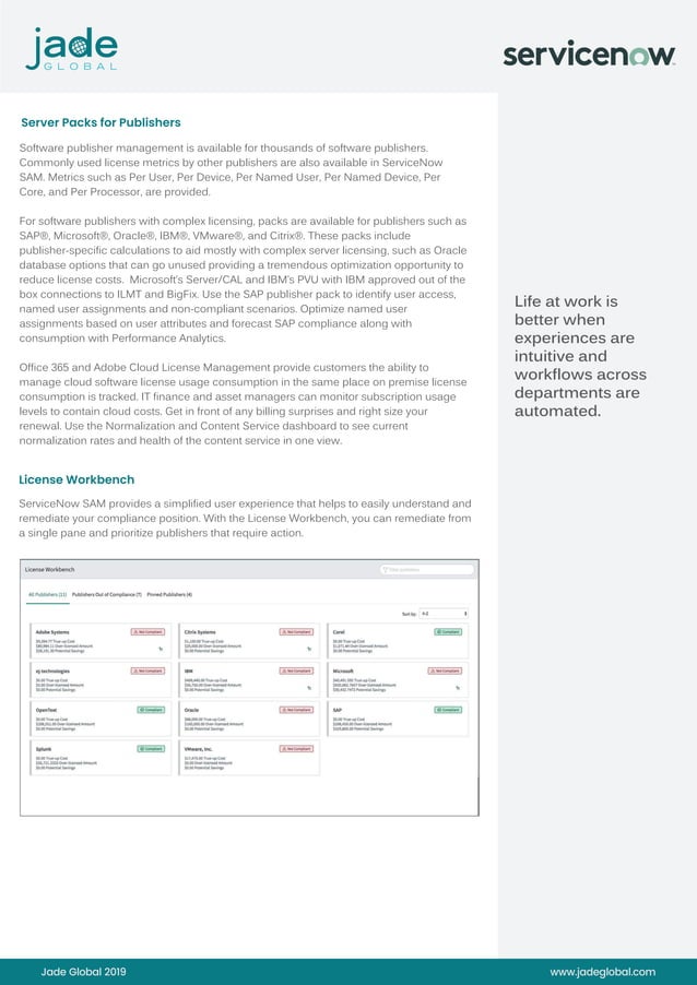 The software Visibility Problem | PDF