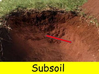 The soil | PPT