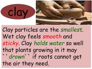 The soil | PPT