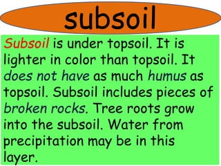 The soil | PPT