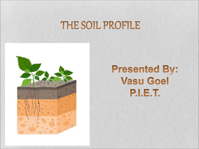 The Soil Profile | PPT