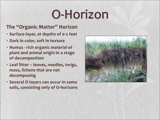 The Soil Profile | PPT