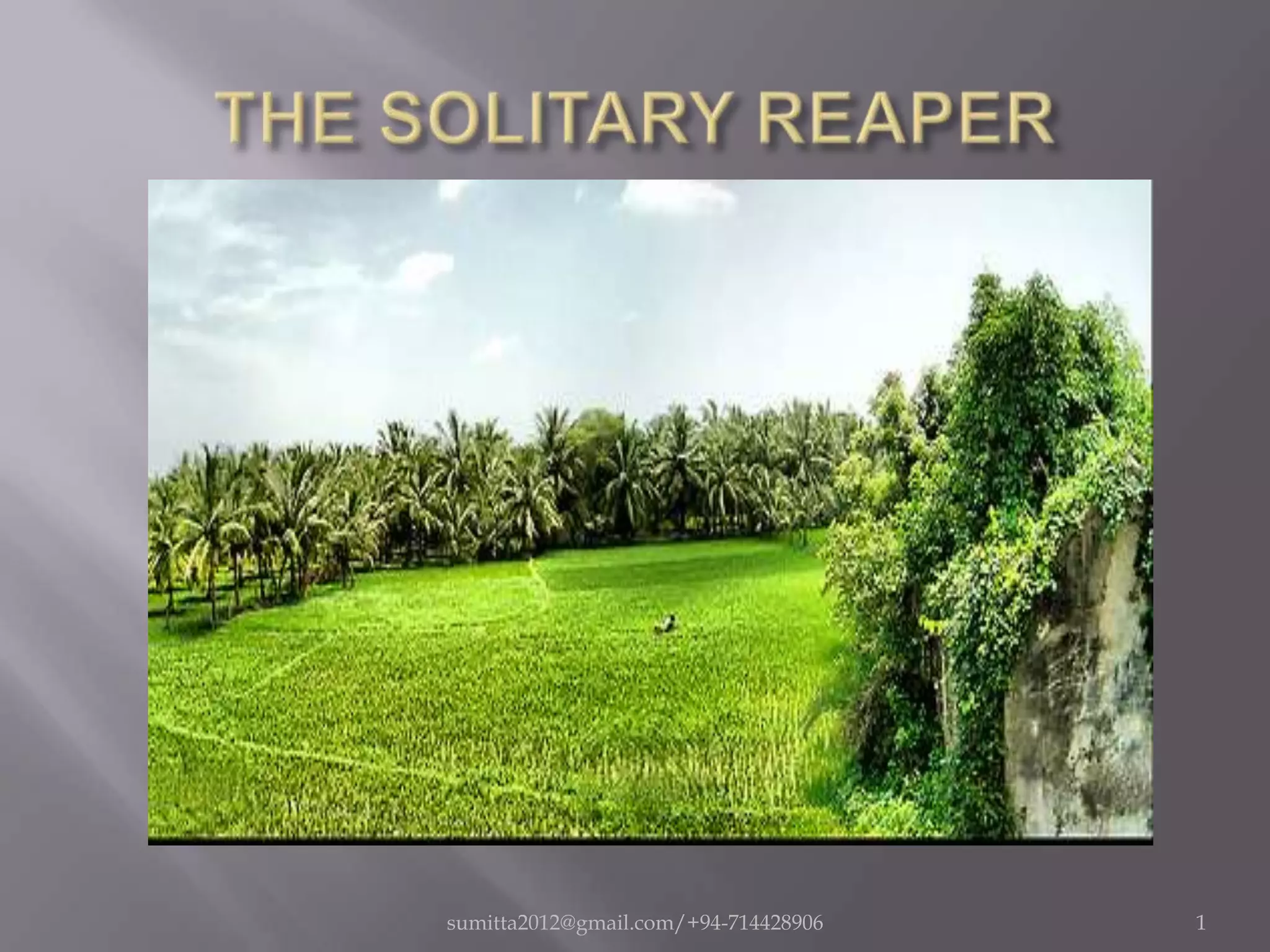 The solitary reaper | PPTX