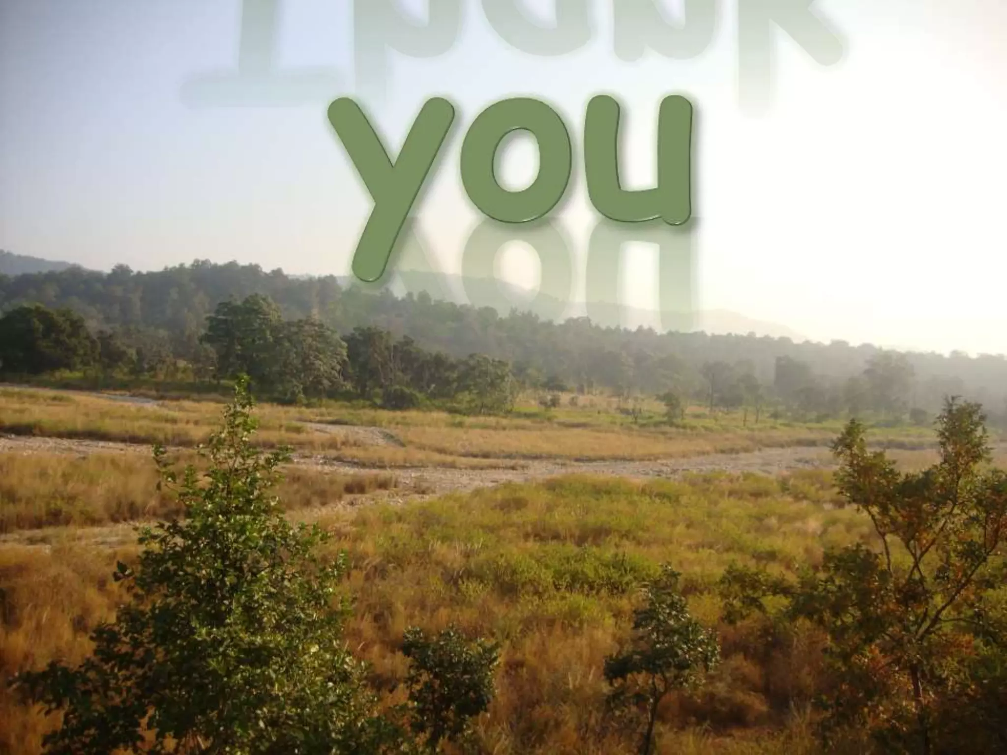 The solitary reaper | PPTX | Music | Entertainment