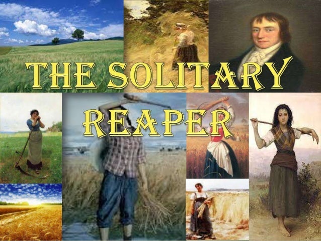 The solitary reaper
