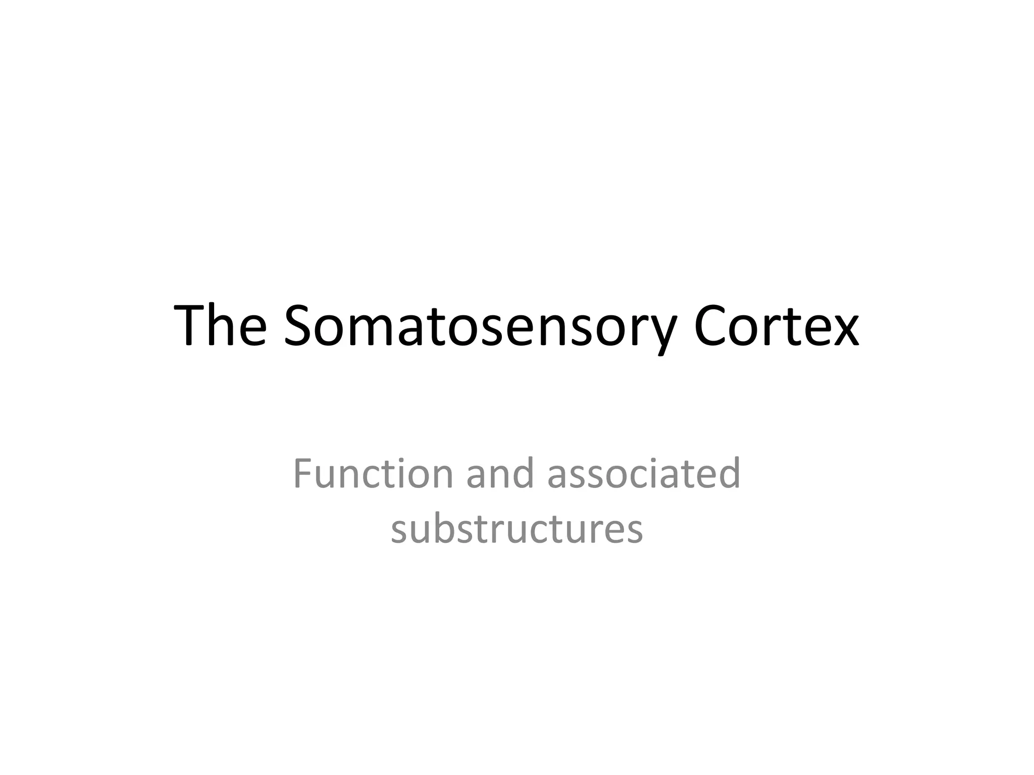 The somatosensory cortex | PPTX