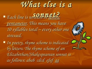 Sonnet | PPT