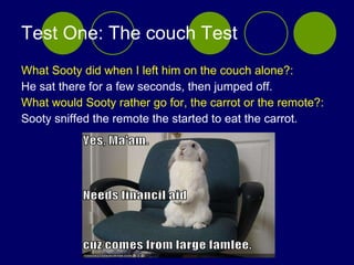 The sooty experiment | PPT | Parenting Babies and Toddlers | Parenting