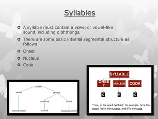 The sound patterns of language | PPTX