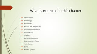 The sound patterns of language | PPTX