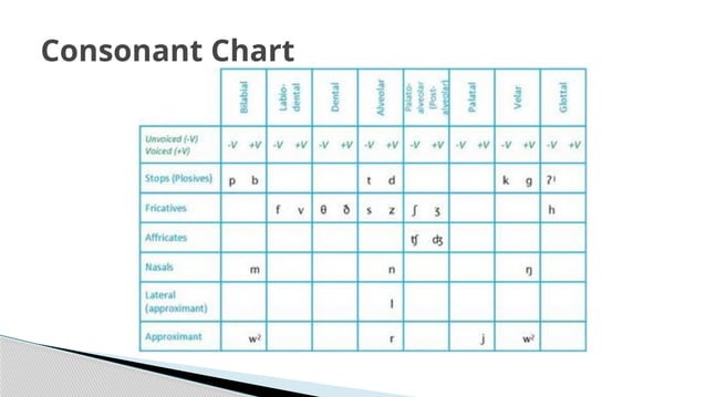 THE SOUNDS OF ENGLISH ( consonants) (1).pptx