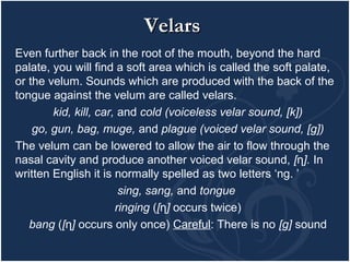 The Sounds of Language by George Yule | PPT