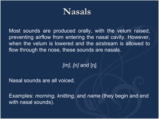 The Sounds of Language by George Yule | PPT