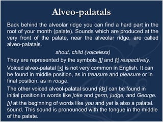 The Sounds of Language by George Yule | PPT