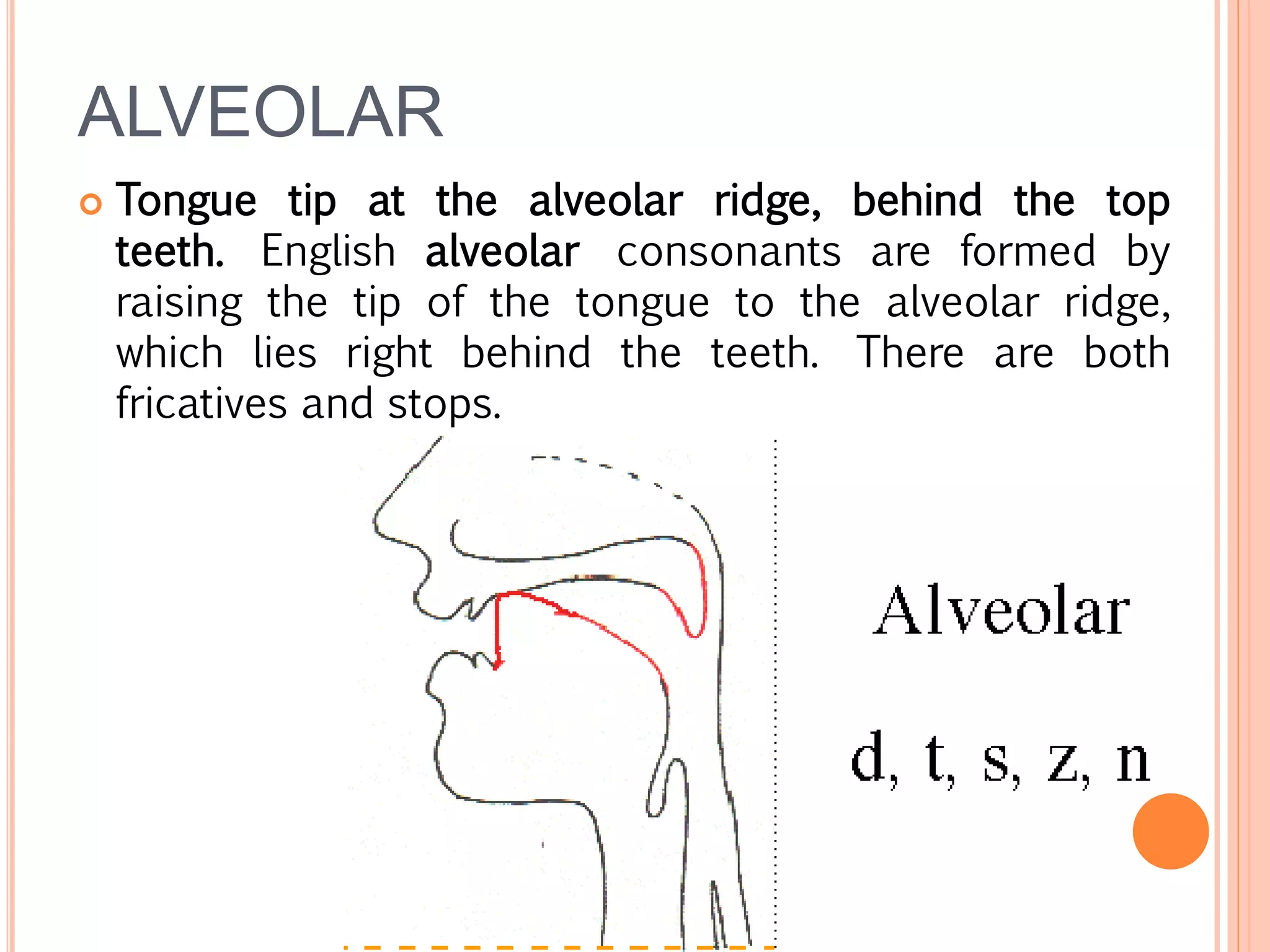 The sounds of language | PPTX