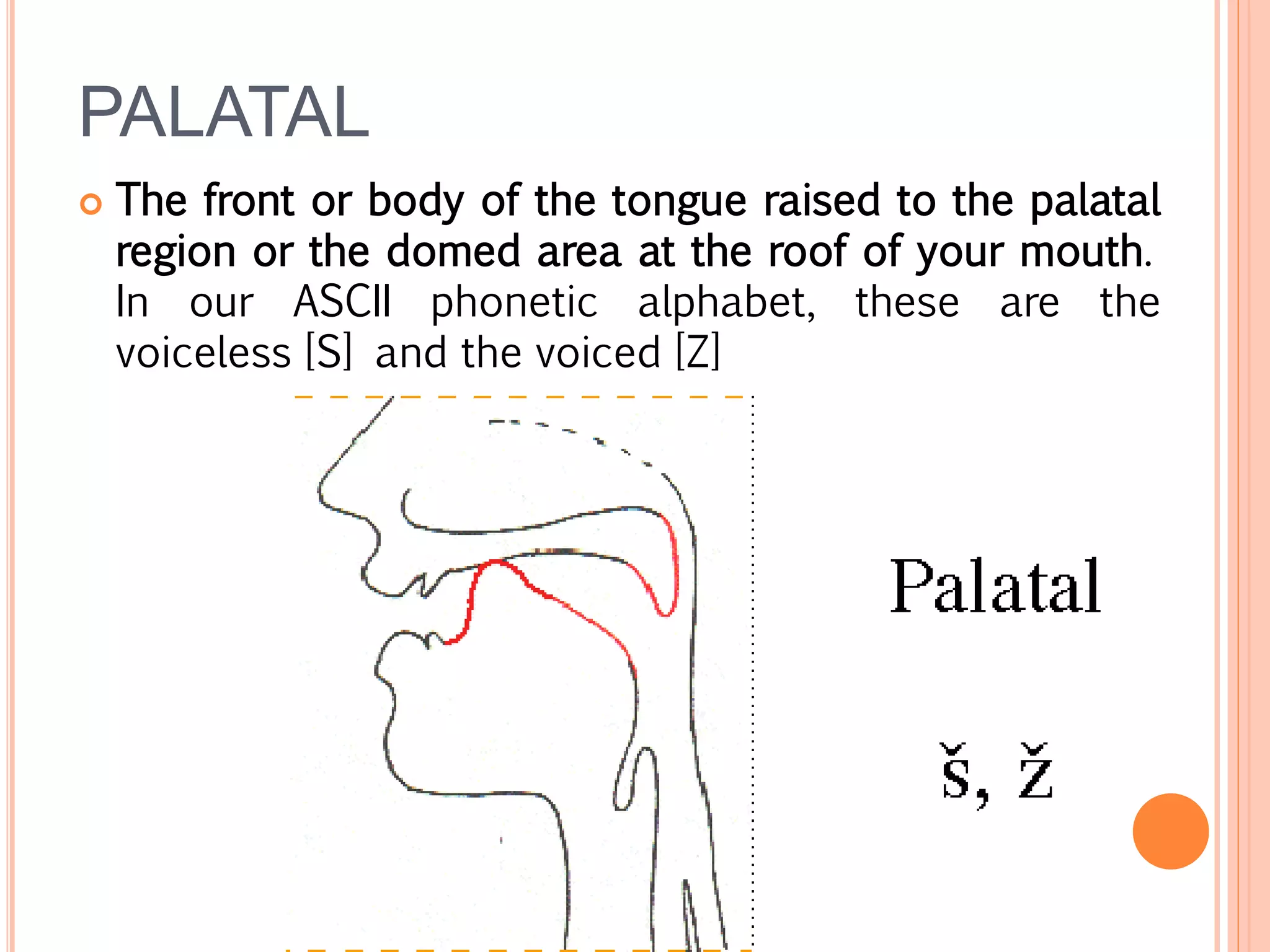 The sounds of language | PPTX