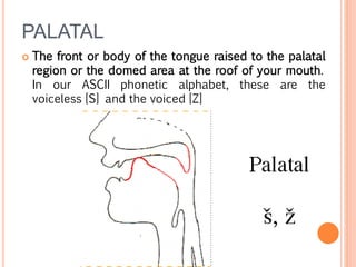 The sounds of language | PPTX