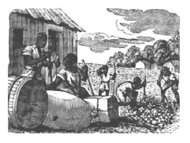 The southern colonies