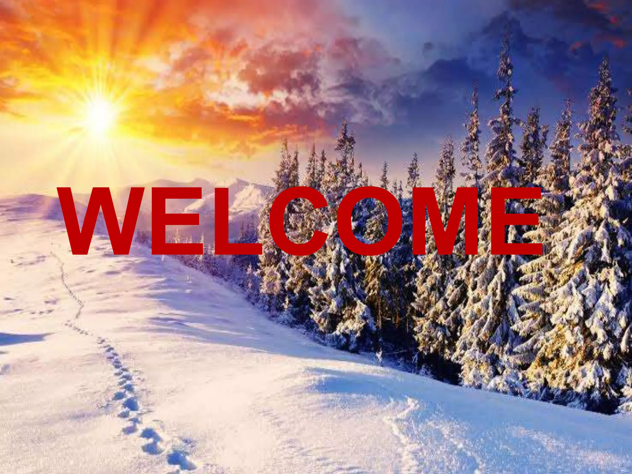 The sower ppt 2 | PPT