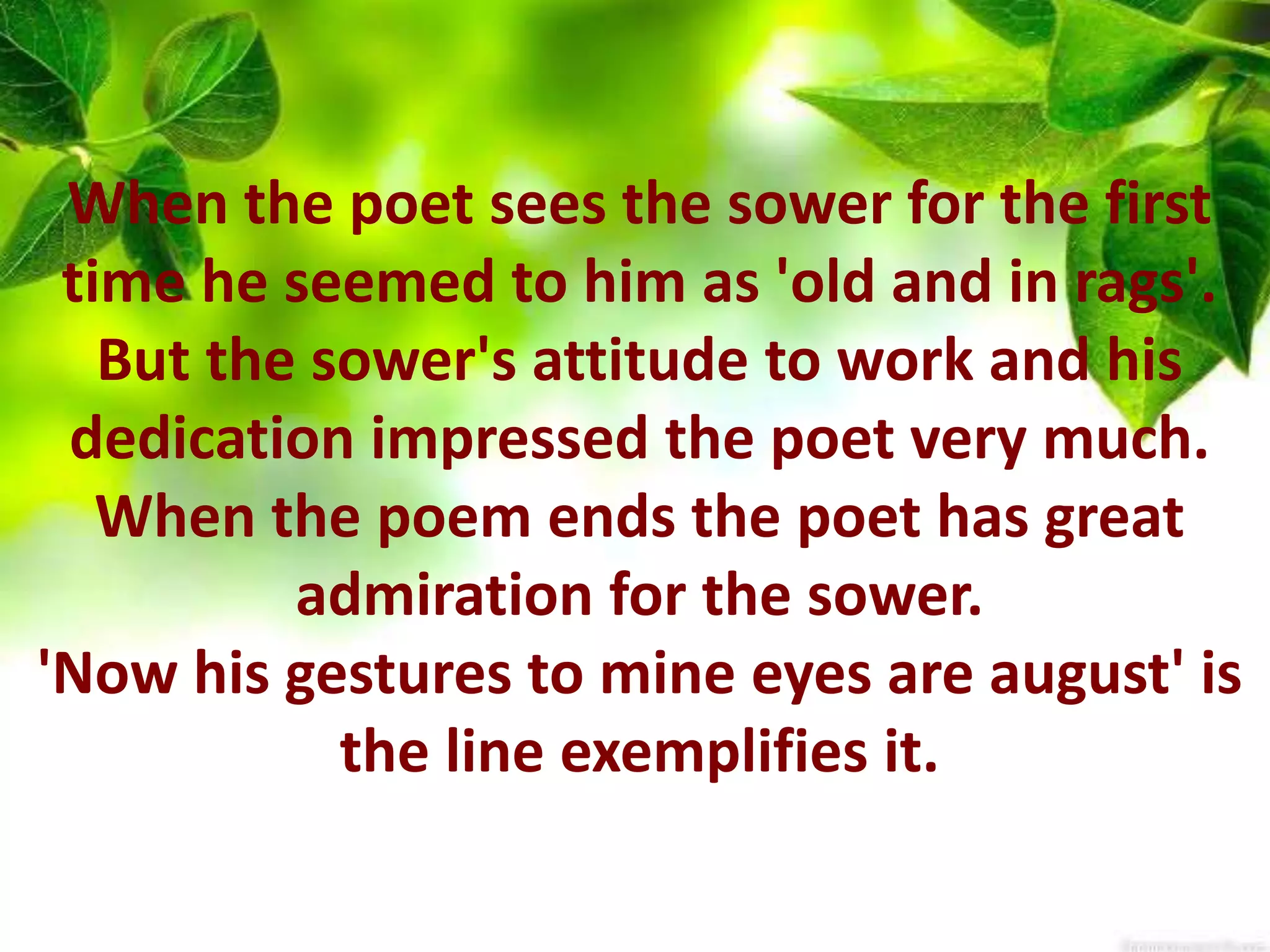 The sower ppt 2 | PPT