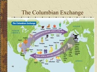 The Spanish Empire of the Americas | PPT