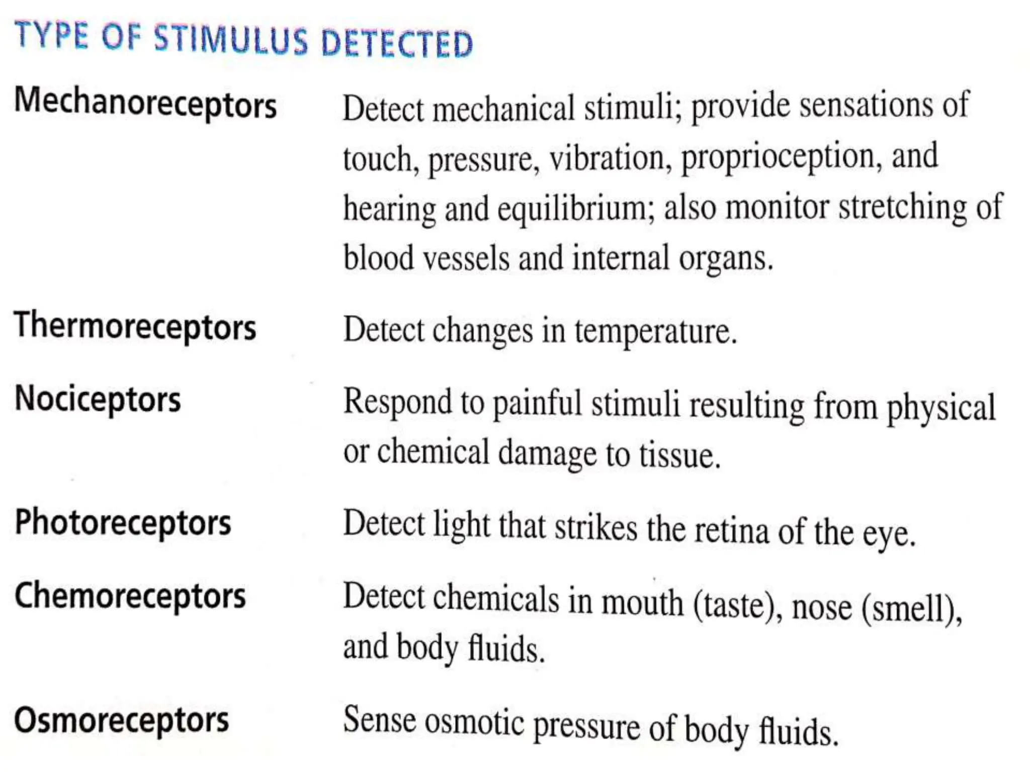 THE SPECIAL SENCES- Unlocking the Wonders of the Special Senses: Sight ...
