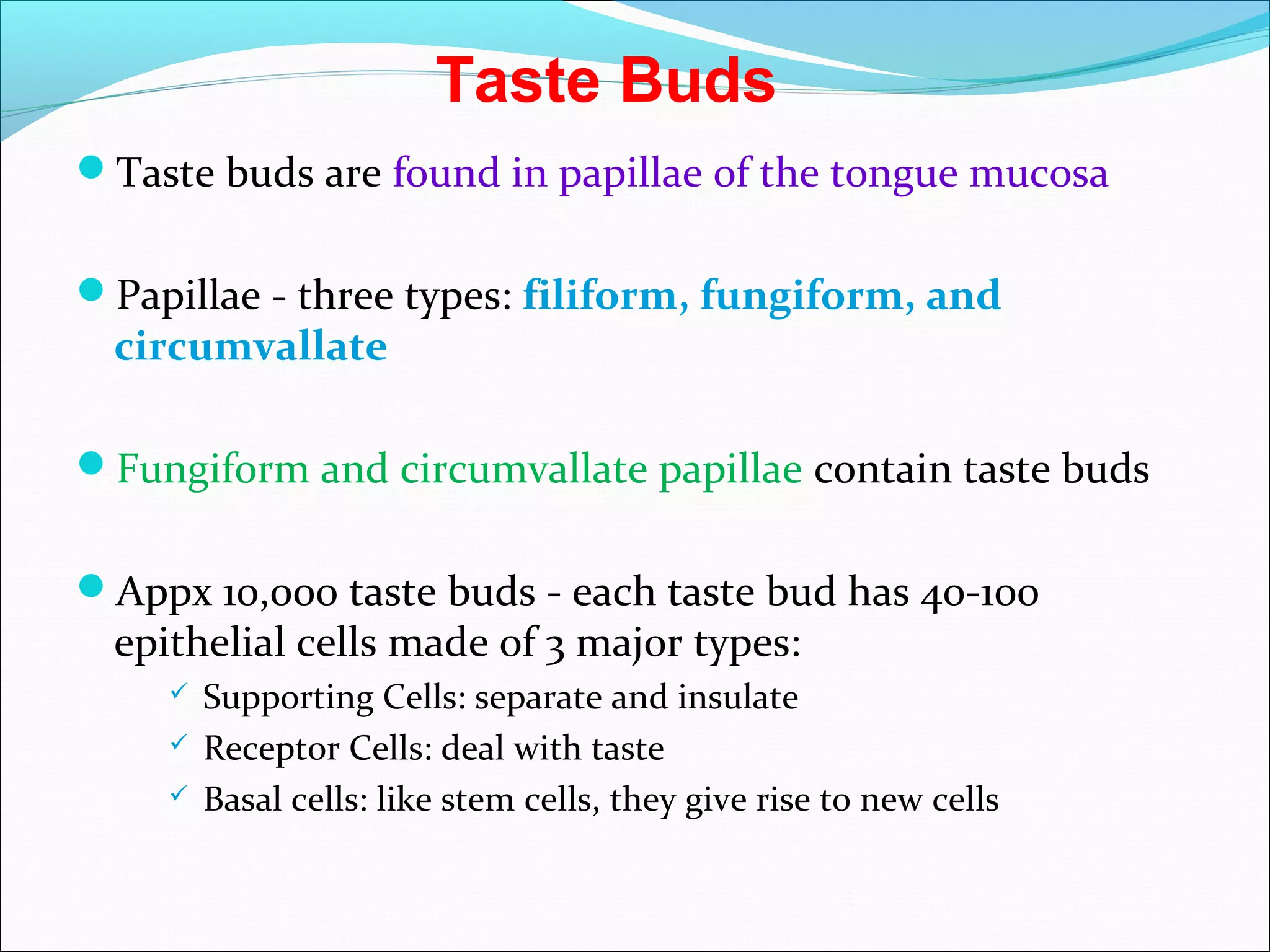 special sense organs (anatomy and physiology) - a brief discussion | PPT