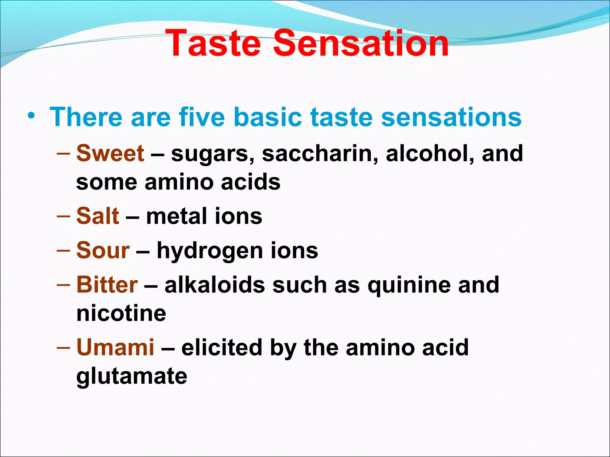 special sense organs (anatomy and physiology) - a brief discussion | PPT