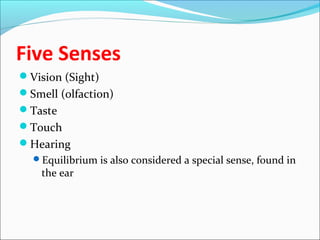 special sense organs (anatomy and physiology) - a brief discussion | PPT